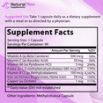 Natural Flow Iron Supplement, Gentle on Stomach, 2-in-1 Premium Complex ...