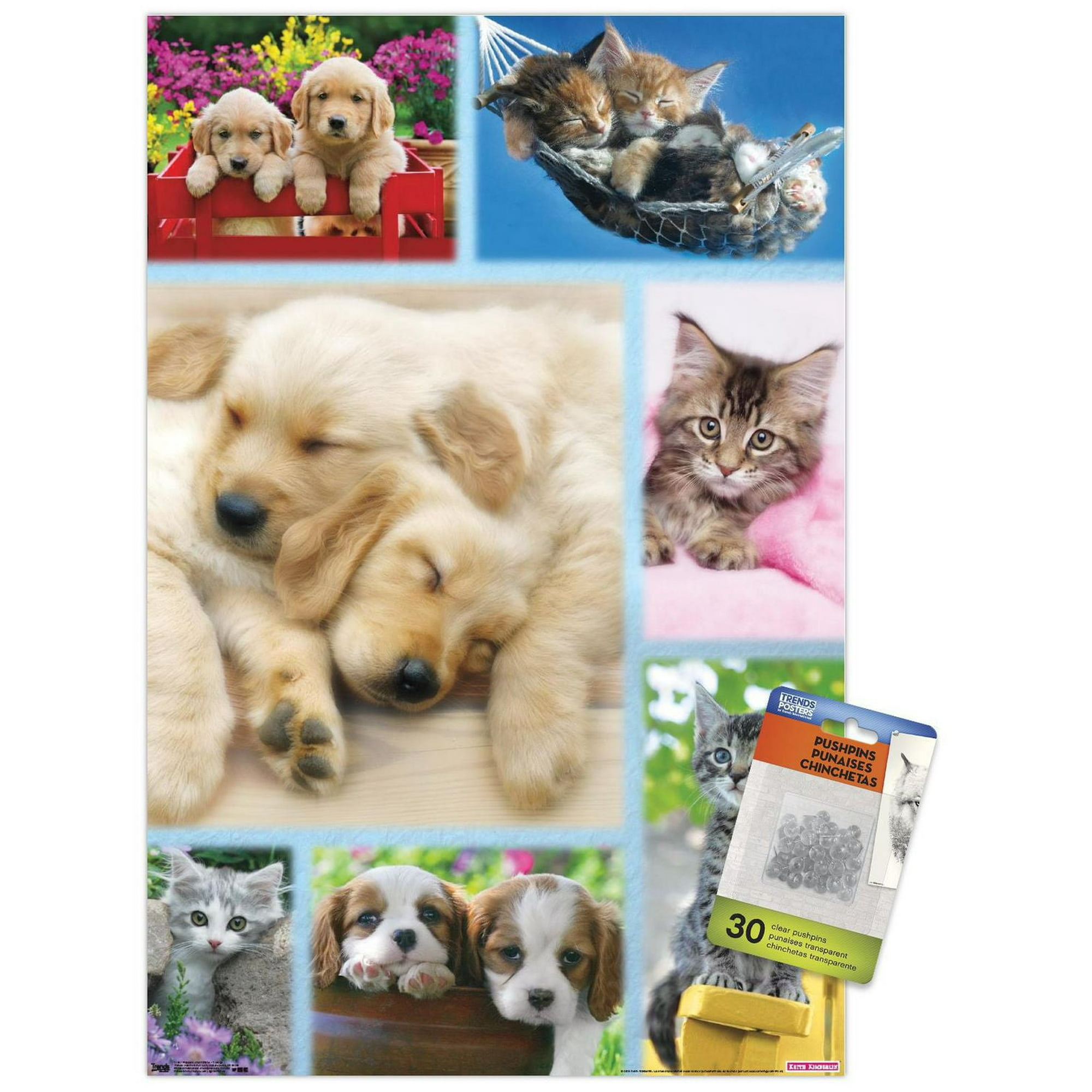 Click here for Trends International Keith Kimberlin - Puppies And... prices