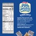 Frosted Mini-Wheats Blueberry Muffin Cereal, Whole Grain, Family Size ...