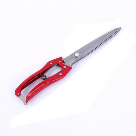 Hand Shears for Gardening or Sheep Shearing - Topiary/Hedge Scissors ...