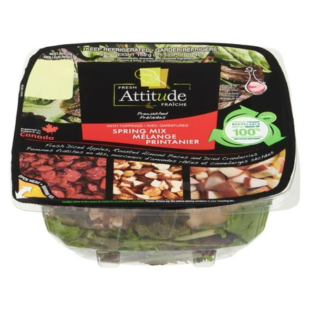 Fresh Attitude Spring Mix Salad Kit, 5.3 oz - Walmart.ca