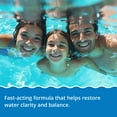 In The Swim - No Phos - Fast-Acting Phosphate Remover for Clear ...