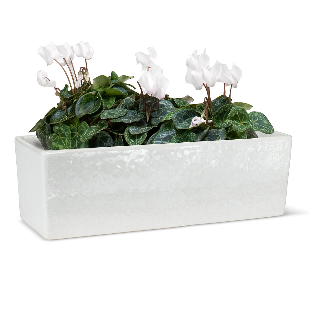 Set of 12 Large Slim Long Planter - Walmart.com