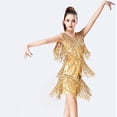 Elegant Sequin Fringe Latin Dance Dress For Stage Performance Party ...