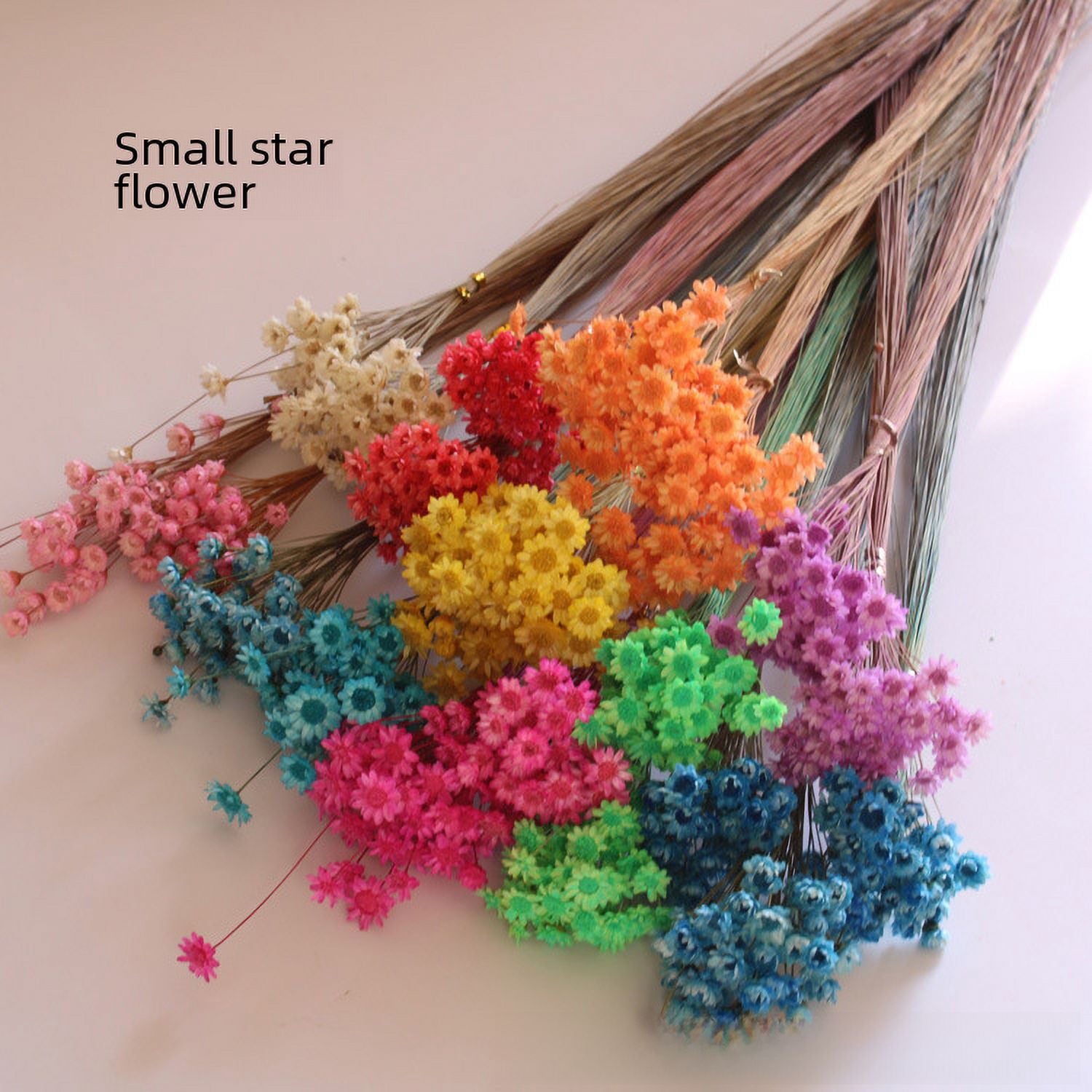 Flor de estrella pequeña Mini flor de estrella pequeña Flor seca Flor ...