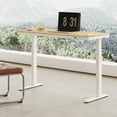 "FLEXISPOT Adjustable Bamboo Workstation, 48""x24"", with USB Ports and ...