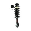 FCS Automotive International Complete Strut Assembly - Walmart.com