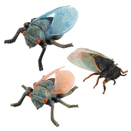 3 Pieces Simulated Model Plastic Cicada Figures for Collection Science ...