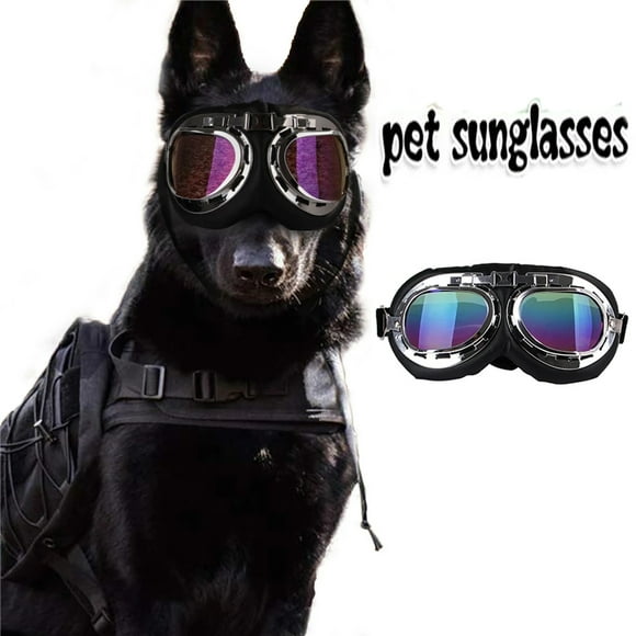 Harley Davidson Dog Apparel