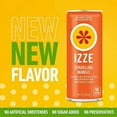 Izze Sparkling Juice Beverage, .. Mango, 8.4 Fl Oz, .. 24 Pack - Walmart.com
