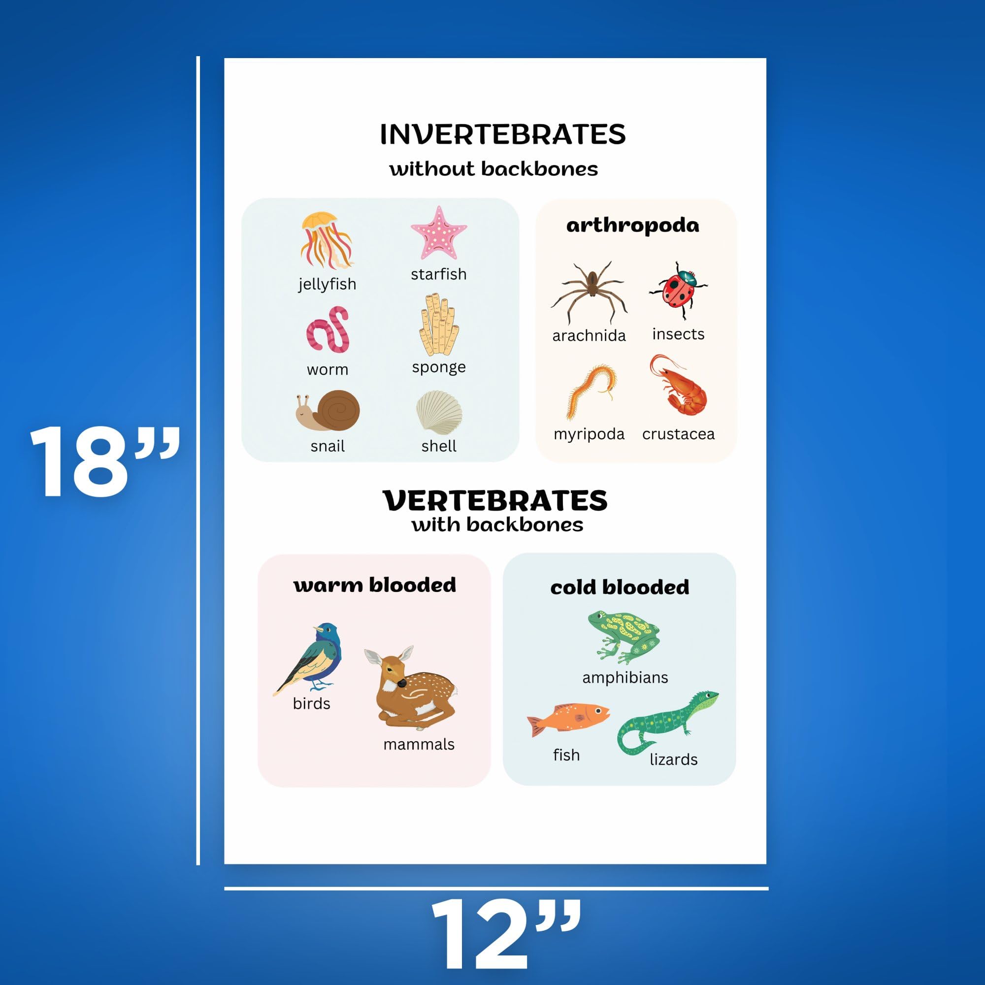 Vertebrates And Invertebrates Ks2