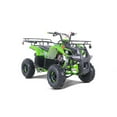 "Tao Motor D125 Gas Powered Four-Wheeler Youth 107cc 4-Stroke ATV with ...