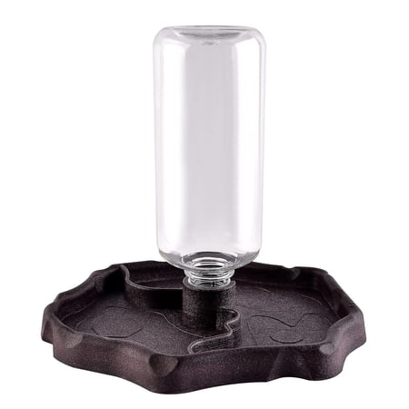 Reptiles, watercress, turtle water bowls, 2-in-1 feeding and water ...