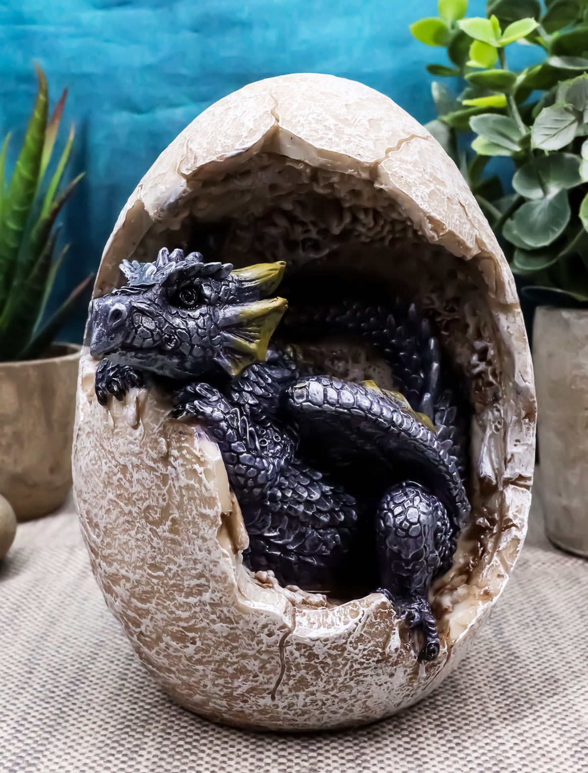 Fossil Twilight Onyx Dragon Hatchling Breaking Out Of Egg Shell ...