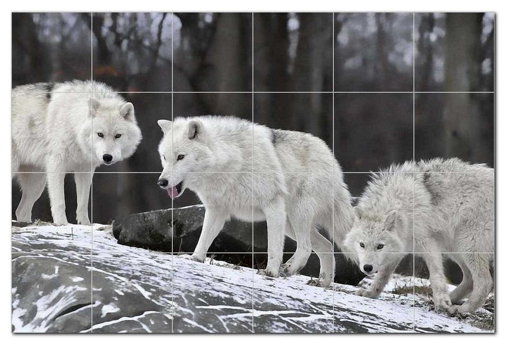 Wolf Wolves Ceramic Tile Mural Kitchen Backsplash Bathroom Shower ...