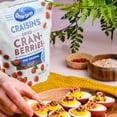 Ocean Spray® Craisins® Original Dried Cranberries, Gluten-Free, No ...