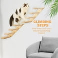 RUseeN Cat Climbing Shelves Wall Mounted Reversible Left & Right ...
