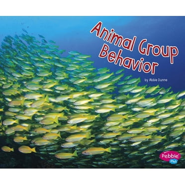 Eye Spy: Wild Ways Animals See the World (Hardcover) - Walmart.com