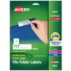 Avery Extra Large File Folder Labels, 15/16" x 3-7/16" (8425) - Walmart.com