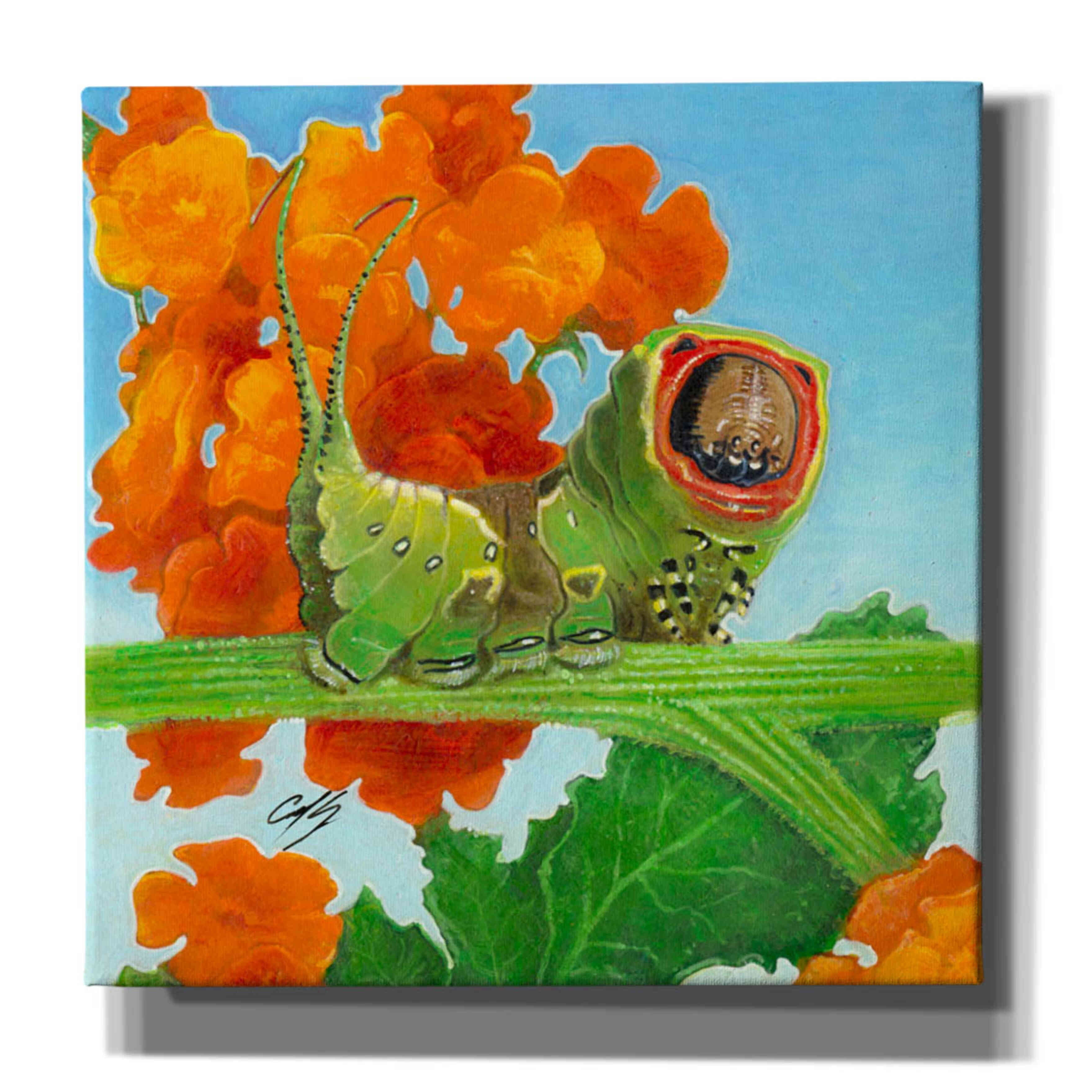 Epic Graffiti 'Caterpillar' by Durwood Coffey, Canvas Wall Art, 37"x37 ...