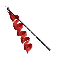 Accelerator Golf Aid Swing Speed Training System - Weighted Driver ...