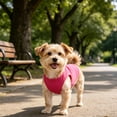 Breathable Cotton Pet Clothing with Soft Comfortable Feel, Lightweight ...