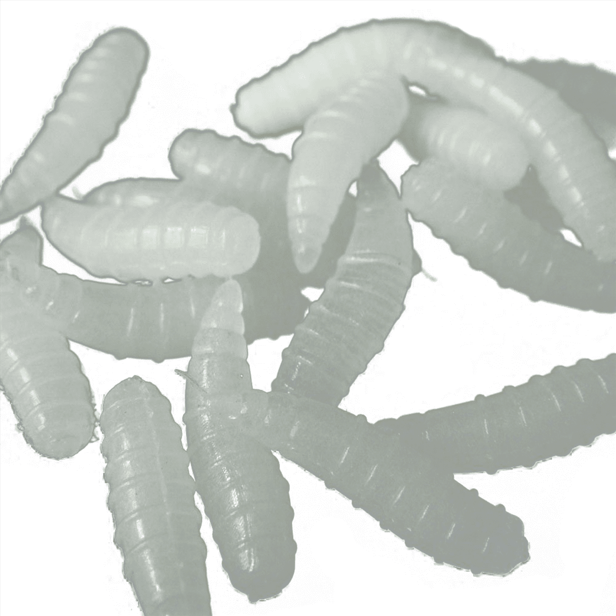 Earth Worms 100pcs Sea Fishing Bait Fishing Lure 4cm Soft Insects False ...