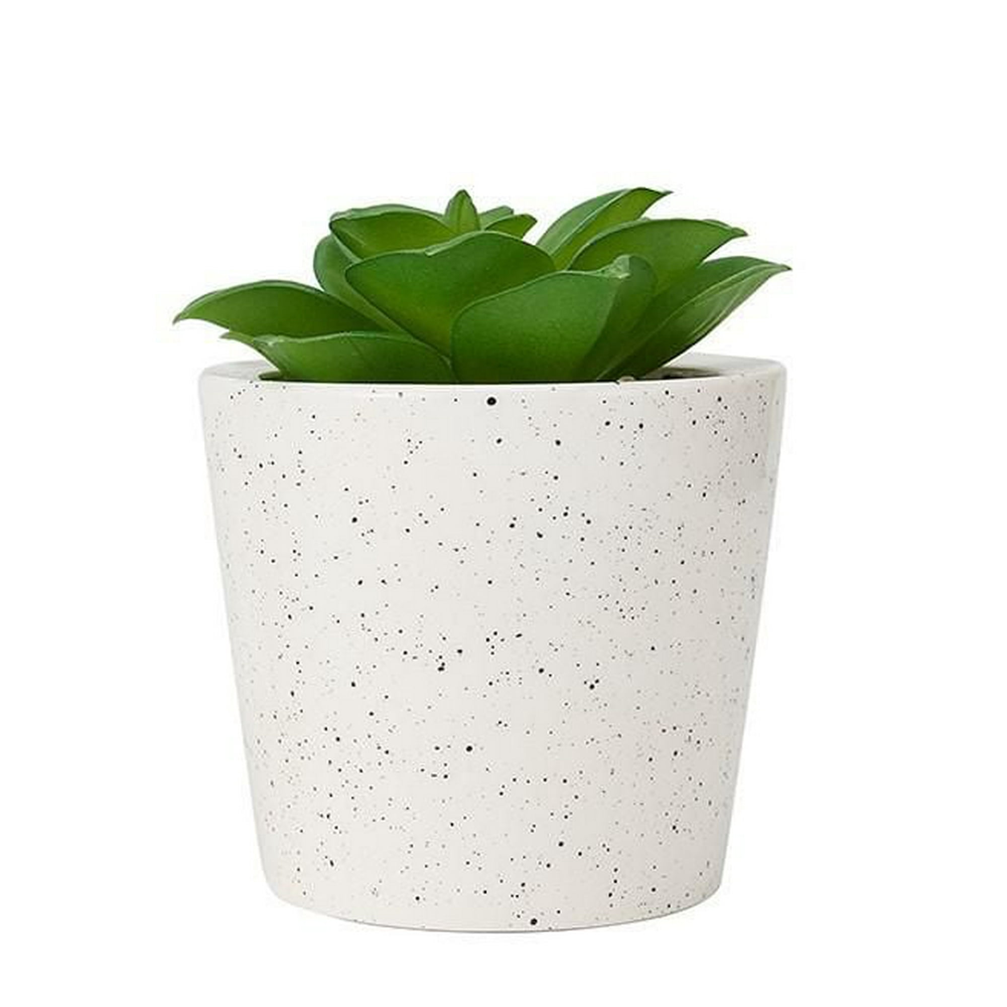 Click here for Anko Artificial Succulent In Pot prices