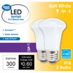 Great Value LED Light Bulb, 15 Watts (120W Equivalent) PAR38 Floodlight ...