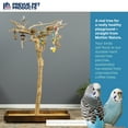 Prevue Pet Products Coffeawood Java Tree Small Floor Playstand Style #2 ...