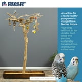 Prevue Pet Products Coffeawood Java Tree Small Floor Playstand Style #2 ...