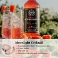 Crafted Cocktails - Spicy Watermelon/Moonlight Cocktail Mix - 2 Pack ...