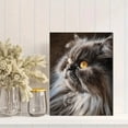 Fluffy Persian Cat Canvas Print Hotel Cafe Home Decor - Walmart.com