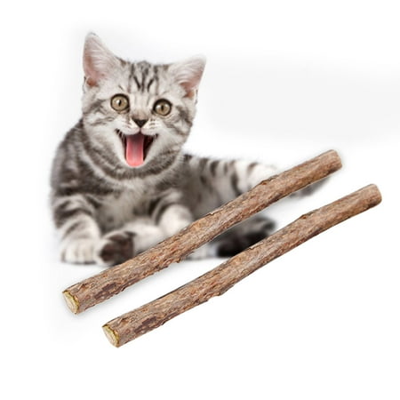 20 PCS Matatabi Sticks, Cat Catnip Sticks Cleaning Teeth Natural ...