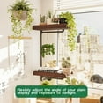Bamworld Window Plant Shelves Rotating Plant Stand Indoor 2 Tier ...