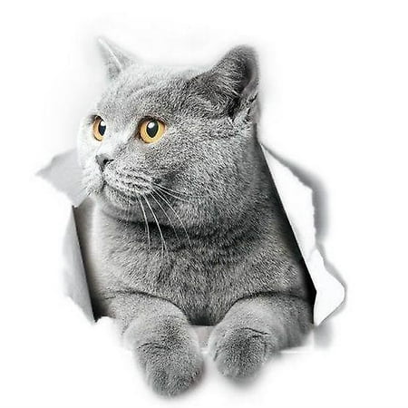 British Shorthair Cat Wall Decals British Shorthair Cat Toilet Sticker ...