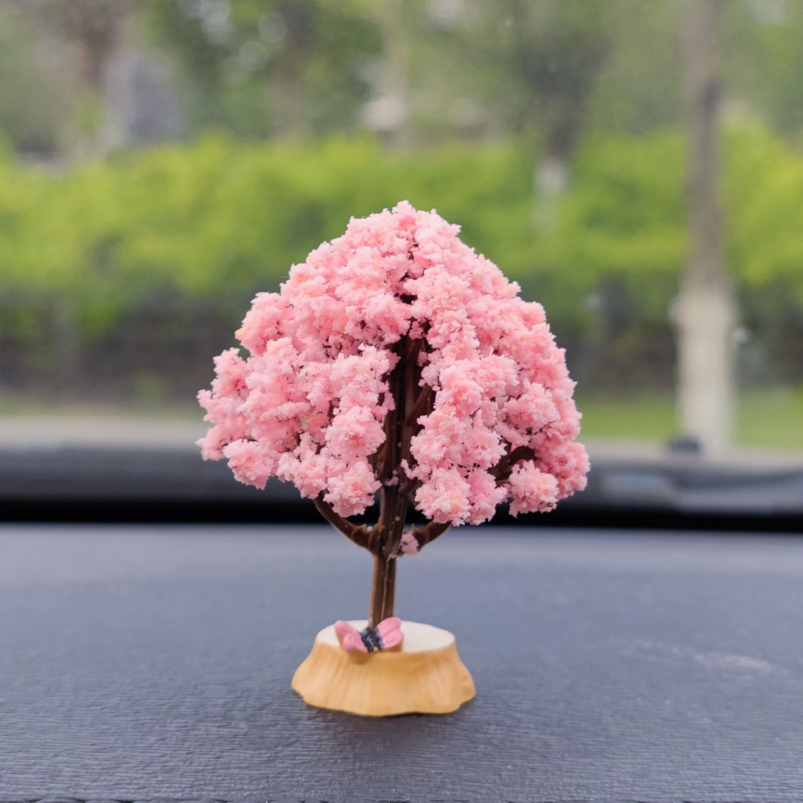 Miniature Cherry Trees