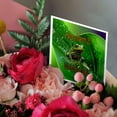 3drose, Happy March 20 World Frog Day with Green Tree Frog, 12 Greeting ...