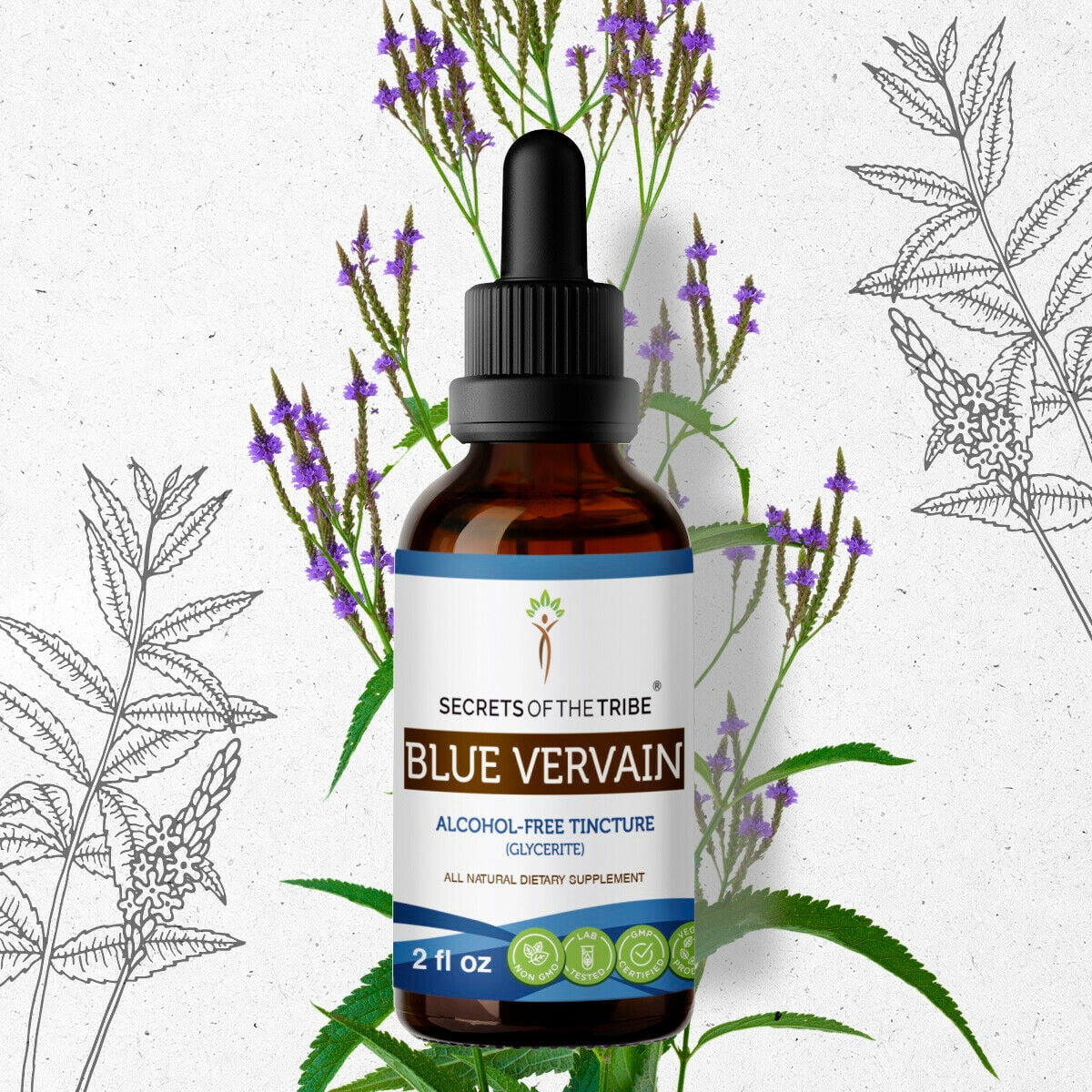 Blue Vervain Tincture Alcohol-FREE Extract, Organic Blue Vervain ...