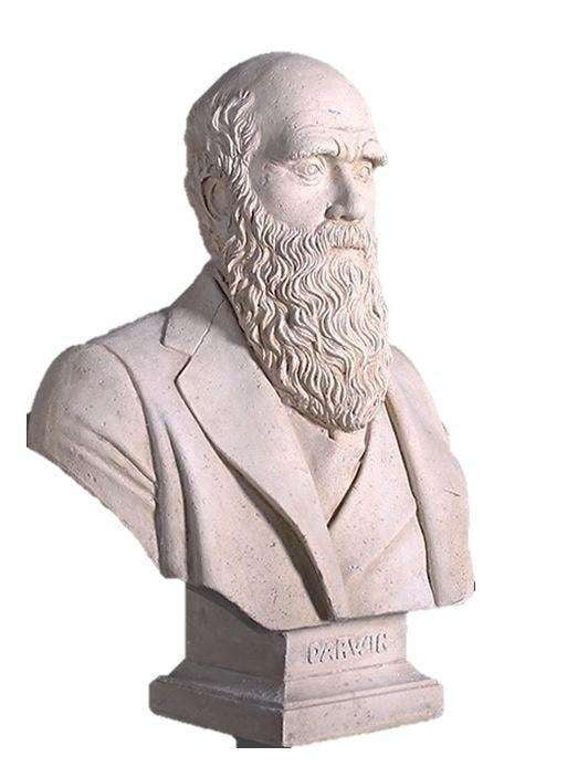 Darwin Stone Bust Life Size Statue - Walmart.com