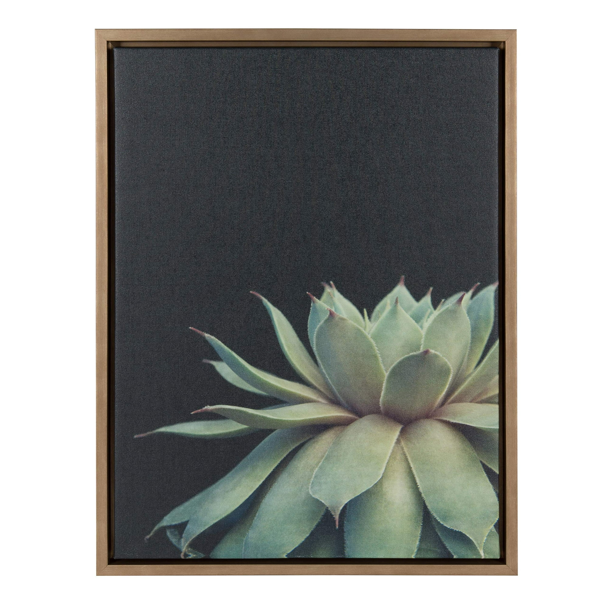 Click here for Kate And Laurel Sylvie Succulent Plant Framed Canv... prices
