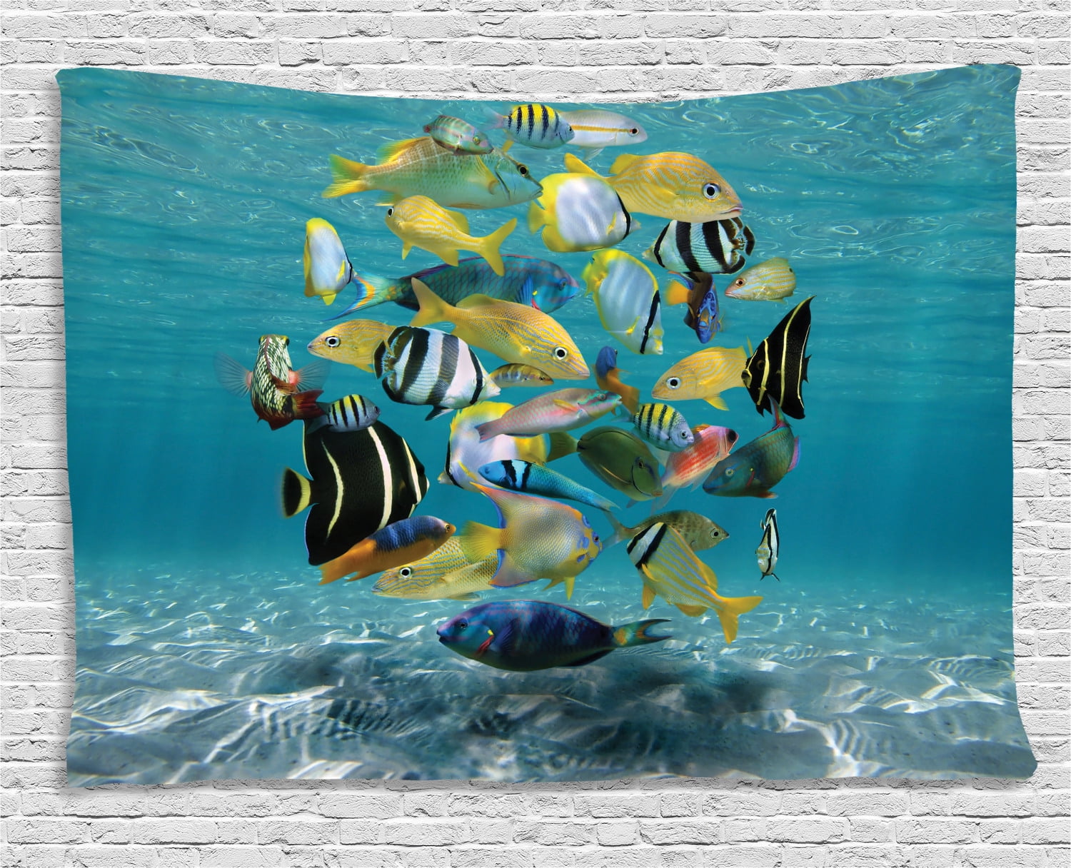 Fish Tapestry, Shoal of Fish Forming a Circle above a Sandy Seabed in ...