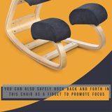Luxton Home Ergonomic Chair Work from Home Posture Chair with Extra ...