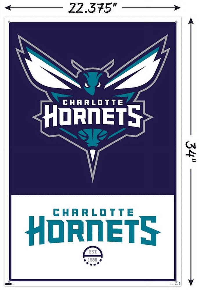 Charlotte Hornets Vector Logo
