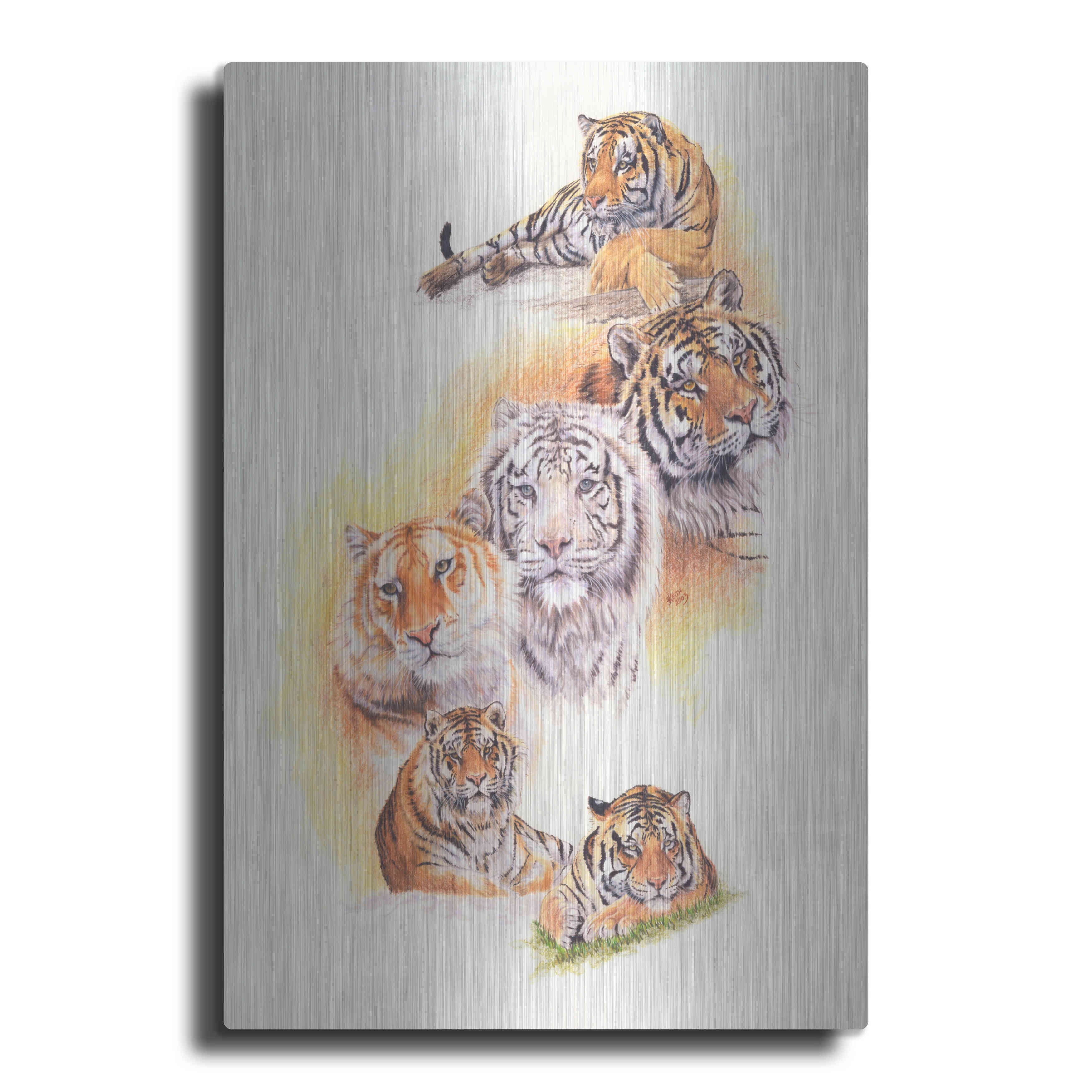 Luxe Metal Art 'Six Pack' by Barbara Keith, Metal Wall Art, 12"x16 ...