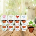 BUZZY Terracotta Mini Grow Pots 12-Pack | Love Collection | Assorted ...