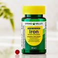 Spring Valley Slow Release Iron General Health & Wellness Dietary ...
