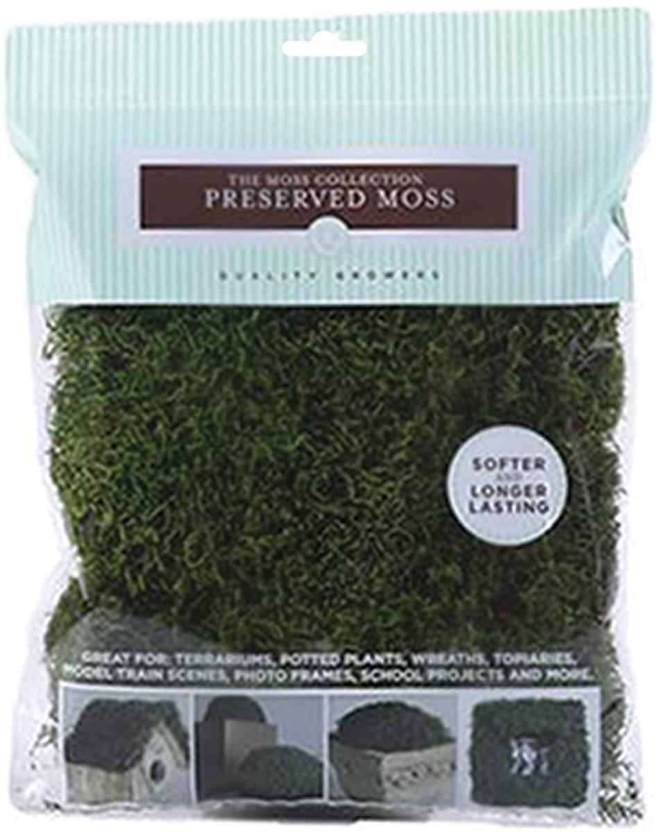Preserved Sheet Moss 112.5 Cubic Inches - Walmart.com