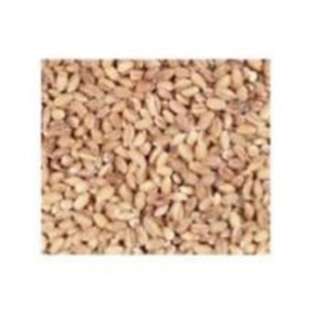 Bulk Grains 100% Organic Hulled Barley Bulk 5 Lbs - Walmart.com