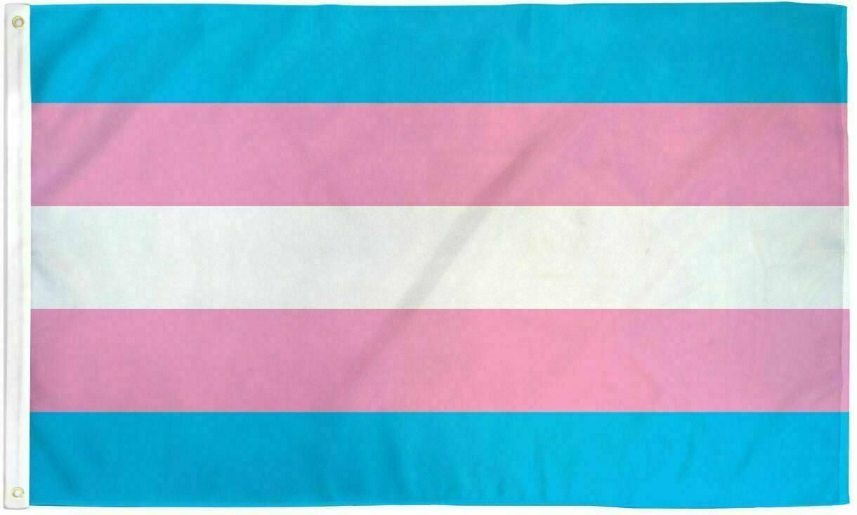 Transgender Pride Flag 3x5ft with Grommets LGBTQIA Trans Pride ...